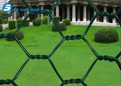 China pvc coated hexagonal wire mesh/hexagonal wire mesh/stainless wire netting for sale