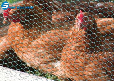 China green pvc/plastic coated chicken coop hexagonal wire mesh for rabbit dark poultry fence for sale