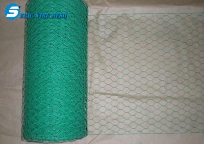 China Hot Dipped Galvanized Chicken Wire Mesh for Bird, Farm Wire Mesh for sale