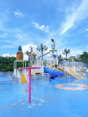 Cina Parco acquatico Butterfly Studio di fattibilità Parco giochi per bambini attrezzature per giochi d'acqua in vendita