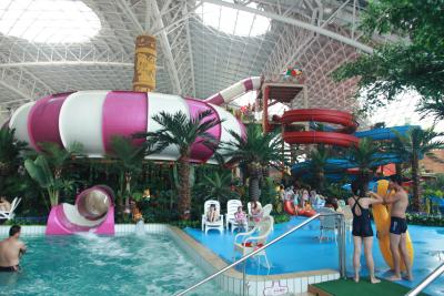 中国 スペース ボール水スライドのゲーム、ガラス繊維のプールは30mx72mの床面積を滑らせます 販売のため