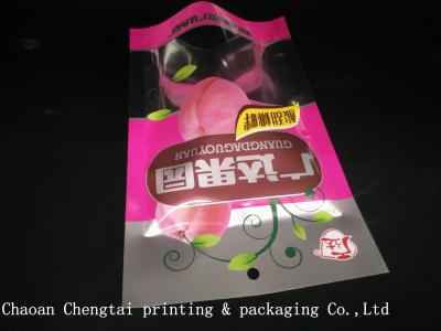 Cina La frutta asciutta variopinta insacca il sacchetto Eco del commestibile amichevole con la dimensione differente in vendita