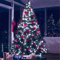 China RoHS Solar String Fairy Lights for sale