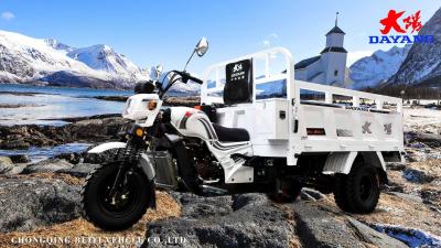 中国 200cc/250cc/300cc 三輪オートバイタイヤ 5.00-12 高負荷容量のための鋼 販売のため