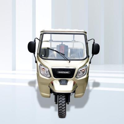 China Achteras volledig zwevende motorfiets driewieler vracht voor volwassenen Rozengoud lichaam 168 Te koop