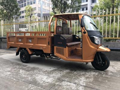 China Citycoco Motorized Scooter 200CC/250CC 3 Wheels Cabin Trike met achtervoetbladeren 5 2 Te koop