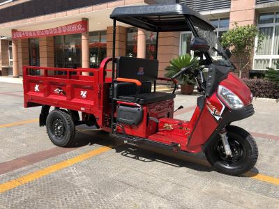 Cina 150cc Triciclo classico 3 ruote Motociclo per adulti Motore di potenza CCC Origine per il carico in vendita