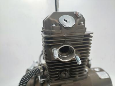 Cina Max.Power 10.2/8000 Motori a benzina a triciclo Assemblaggio da DAYANG per moto cinesi in vendita