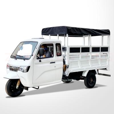 China 800W Semi-Cabin Motorized Cargo Tricycle with Enclosed Cabin and Plastic Cargo Cover for sale