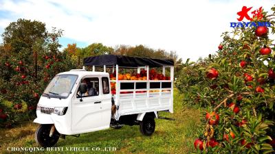 China 800W Semi-Cabin Motorized Cargo Tricycle with Enclosed Cabin and Plastic Cargo Cover for sale