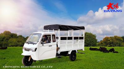 China 800W Semi-Cabin Motorized Cargo Tricycle with Enclosed Cabin and Plastic Cargo Cover for sale