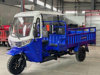 Cina 5.0-12 Dimensione del pneumatico DAYANG Heavy Duty Benzina Cargo Cabina Motor triciclo per il mercato globale in vendita