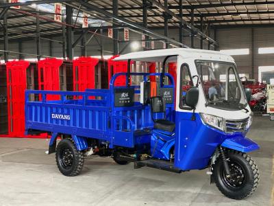Cina 5.0-12 Dimensione del pneumatico DAYANG Heavy Duty Benzina Cargo Cabina Motor triciclo per il mercato globale in vendita