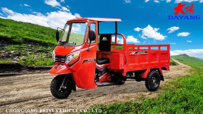 Cina Motore a raffreddamento ad acqua da 200 cc Mini Truck Cargo Trike per le vostre esigenze in vendita