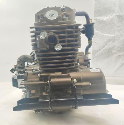 Cina Origine DAYANG LIFAN 320cc Motore di motocicletta Montaggio Motore monocilindrico stile a quattro tempi in vendita