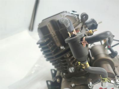 Cina Origine DAYANG LIFAN 320cc Motore di motocicletta Montaggio Motore monocilindrico stile a quattro tempi in vendita