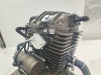 China LF Wolf 250cc Motorcycle Engine Water Cooled 4 Stroke Engine for Superior Performance for sale