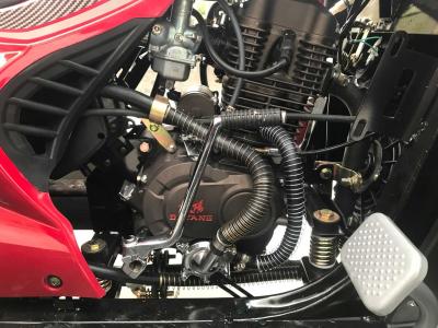 中国 250cc 水冷半キャビンの5輪 二輪後輪 トリサイクル 販売のため