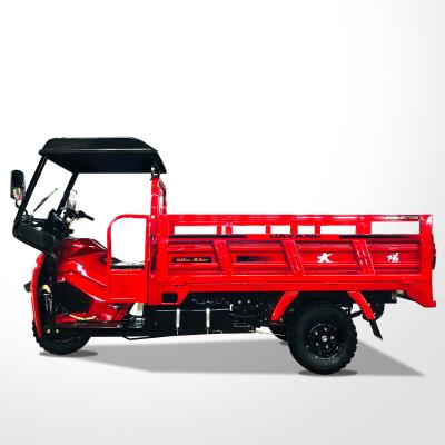 Cina 250cc Tricicli per adulti motorizzati Cargo Benzina Tanzania Motor triciclo produttori in vendita
