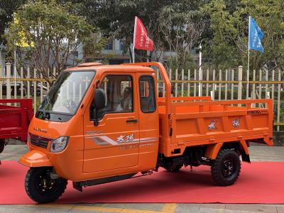 China Dayang driewieler 200cc/250cc/300cc Motorfiets met 5,00-12 banden en 1000kg laadvermogen Te koop