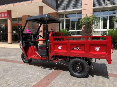 Китай DAYANG Большое пространство 250cc доставка Моторизованный трехколесный велосипед для Замбии груза продается