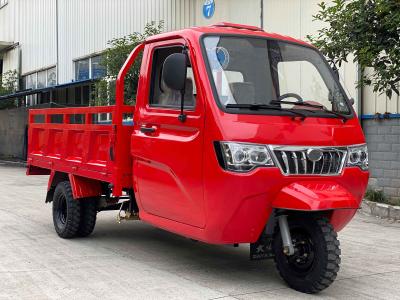 Cina 250cc triciclo a motore a cabina chiusa per un facile e confortevole trasporto passeggeri in vendita