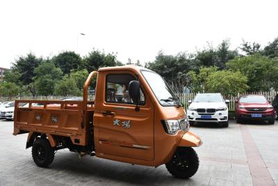 China Omkeerbare Lifan 200cc motor Motocarro Delivery Van met gesloten cabine Cargo driewieler Te koop