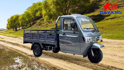 Cina Tricicli a motore diesel da 250cc La perfetta combinazione di potenza ed efficienza in vendita