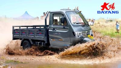 Cina Tricicli a motore diesel da 250cc La perfetta combinazione di potenza ed efficienza in vendita