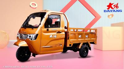 Cina Velocità massima di 70 km/h Triciclo diesel Cargo Triciclo motorizzato per lavoratori portuali in vendita