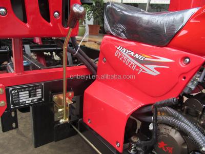 Cina 3500*1400*1600mm Corpo aperto Tipo Trike motociclette a tre ruote 2 posti Trike motore in vendita