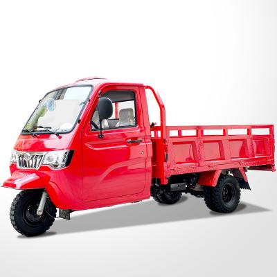 China DAYANG 2021 Populaire driewiel motorfiets Cargo driewiel 250cc driewiel gas scooter Te koop