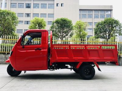 China DAYANG 2021 Populaire driewiel motorfiets Cargo driewiel 250cc driewiel gas scooter Te koop