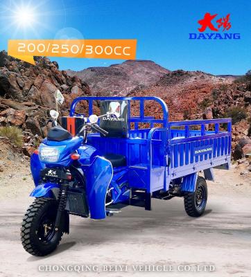 Cina Motocicletta da 250cc a tre ruote con carrozzeria aperta e capacità di carico utile ≥ 400 kg in vendita