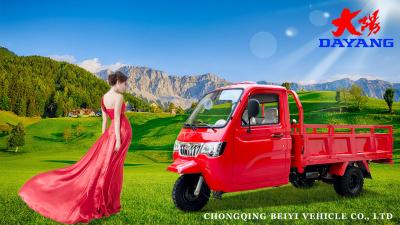 China DAYANG T5 300cc watergekoelde benzinemotoriseerde driewieler met een laadvermogen ≥ 400 kg Te koop