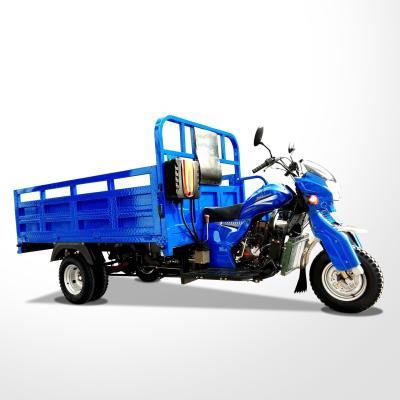 China 10-20L Fuel Tank Capacity Cargo Motorcycle for Three Wheeler Cargo Tricycle for sale