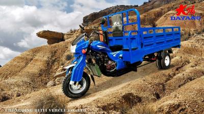 China 10-20L Fuel Tank Capacity Cargo Motorcycle for Three Wheeler Cargo Tricycle for sale