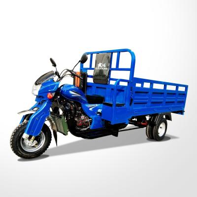 China 10-20L Fuel Tank Capacity Cargo Motorcycle for Three Wheeler Cargo Tricycle for sale