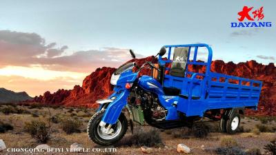 China 10-20L Fuel Tank Capacity Cargo Motorcycle for Three Wheeler Cargo Tricycle for sale