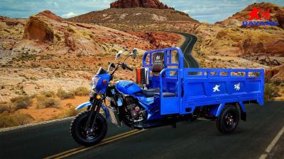 China Motocicleta de carga de três rodas CCC com motor de 250W e tensão de 12V dentro do projeto CCC à venda