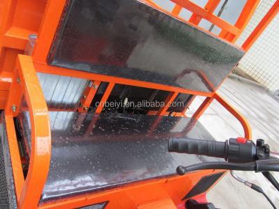 China Triciclo de carga motorizado de tres ruedas con cilindrada de 250cc y motor de rickshaw automático en venta