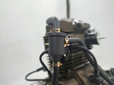 Cina DAYANG CG300 Motocicletta completa con classe acqua Metodo elettrico/calcio e 1 cilindro in vendita