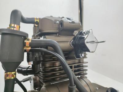 Cina DAYANG CG300 Motocicletta completa con classe acqua Metodo elettrico/calcio e 1 cilindro in vendita