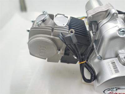 Cina Silver DAYANG LIFAN 125CC Natura Motore di moto raffreddato all'aria Assemblaggio 3 ruote Cargo Triciclo monocilindrico Origine in vendita