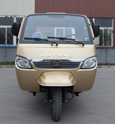 Cina Triciclo motorizzato 300cc Carga Triciclo Cargo Rossa Tipo di guida Motorizzato Chiuso 250cc in vendita