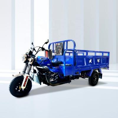 Cina DAYANG 150CC triciclo cargo corpo aperto con motore a 4 tempi e 9 posti a sedere in vendita