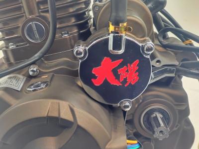 Cina DAYANG CG300 Motocicletta completa con stile cilindro classe acqua e elettrico / kick start in vendita