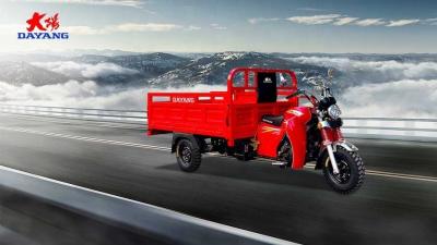 Cina Triciclo per passeggeri per adulti con due posti 5.0-12 Dimensione pneumatica e motore diesel in vendita