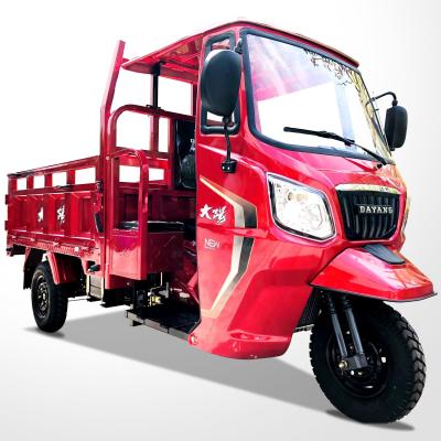 Китай 300cc 250cc Dayang Мотоцикл Trike с 5.0-12 шины и продвинутый дизайн двигателя продается