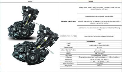 Cina 652cm3 Lubrificazione da spruzzo a pressione LIFAN/LONCIN/ZONGSHEN/DAYANG Motore triciclo motociclistico in vendita